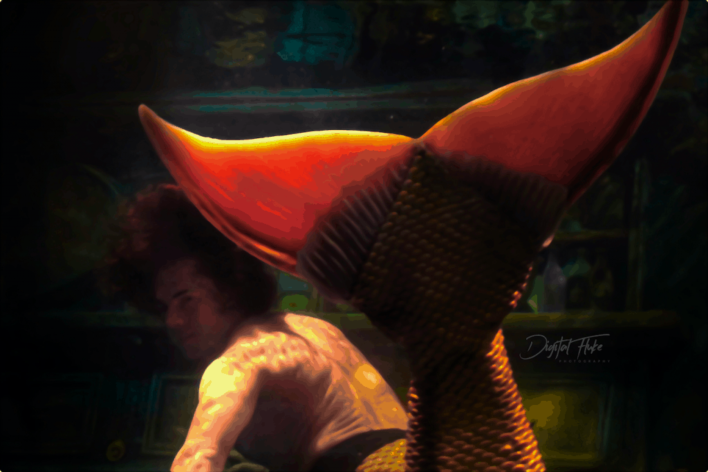 MermanThommy – Professional Merman